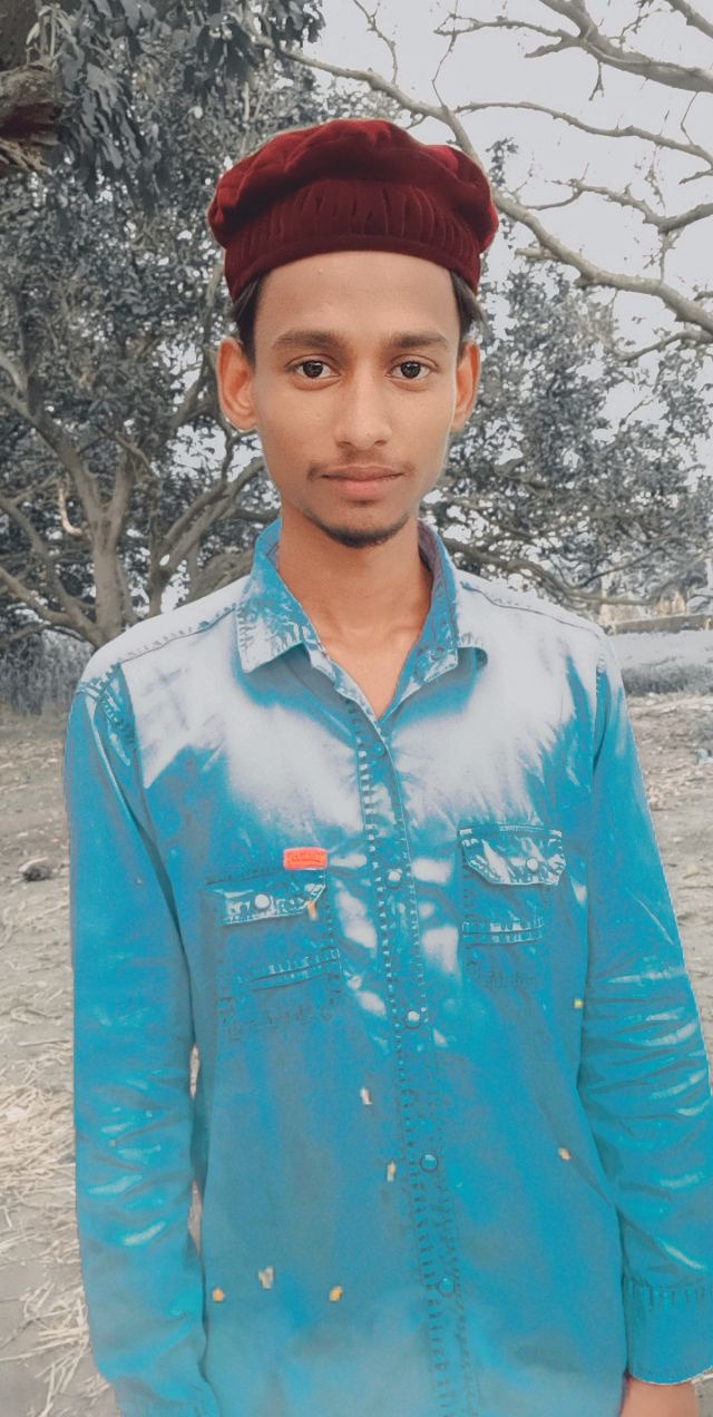 Md Sabir Ali (scotstyris12) - Experty.io